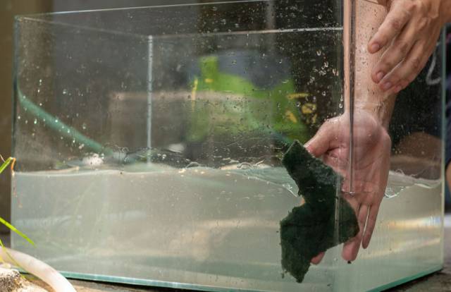 UV Glass Bonding NY | UV Bonded Display Cases by Bear Glass